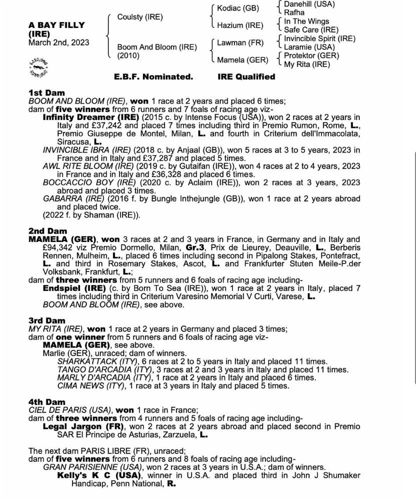 Horses for Sale — Charlie Clover Racing