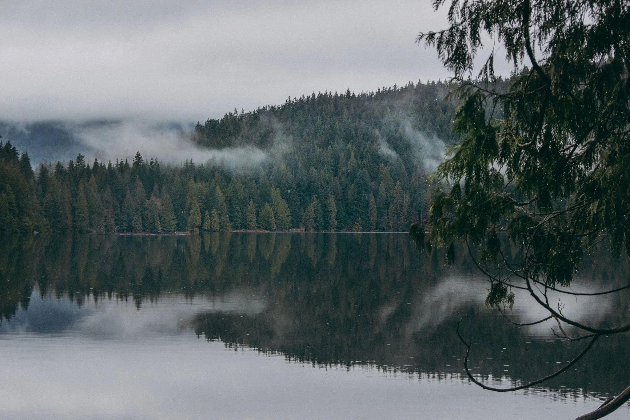 Mist Thermal Sanctuary – Private Saunas and Cold Plunge in the Forests ...