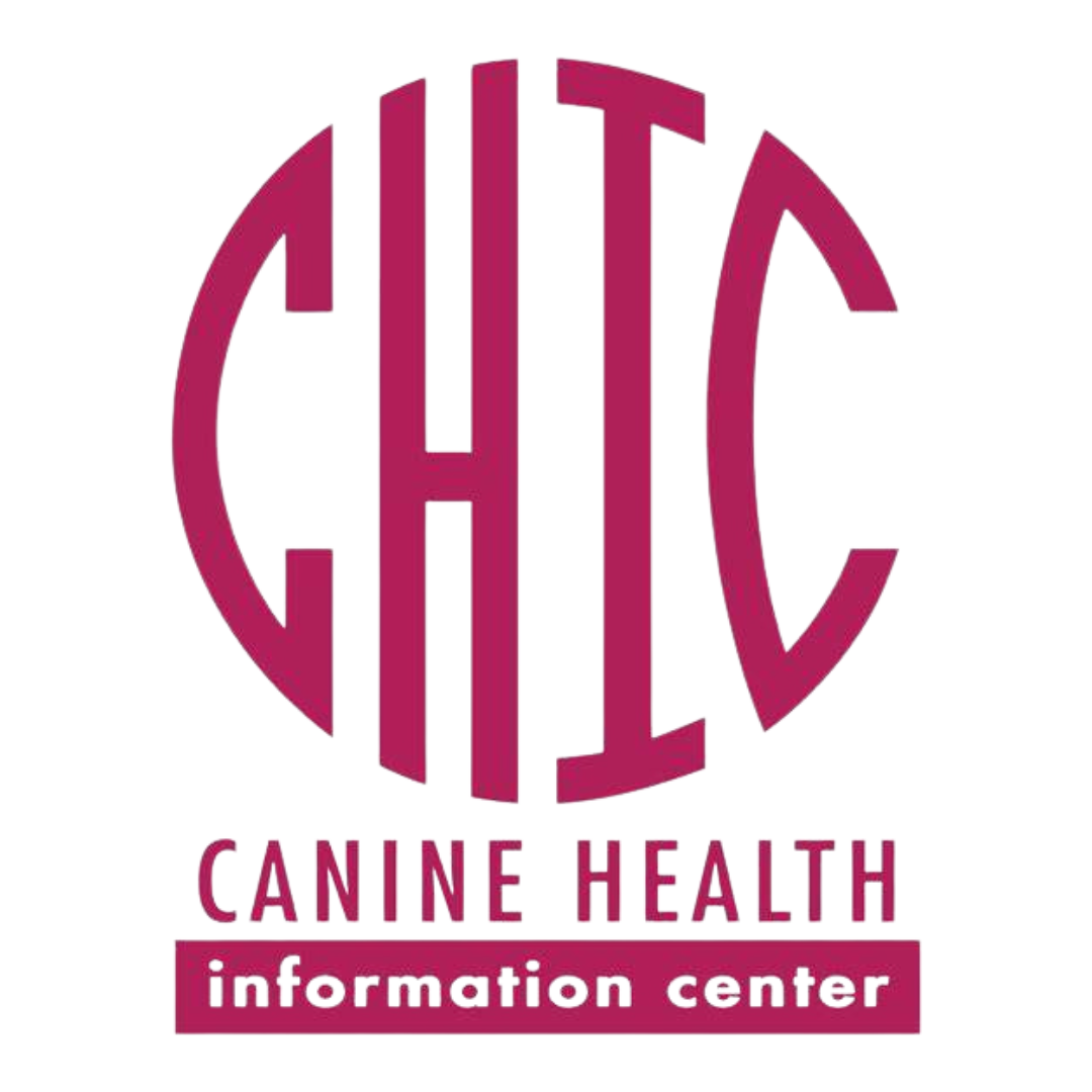 Upcoming Litters — Twisted Clovers Labrador Retrievers