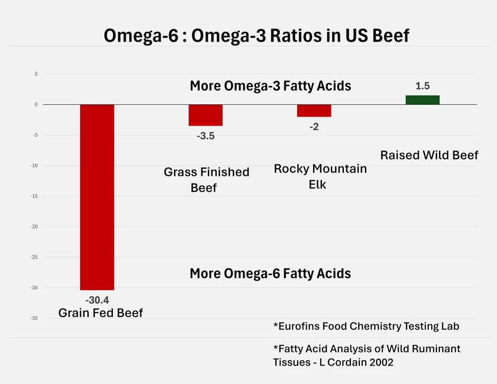 Beef Nutrition — Texas Beef Raised Wild