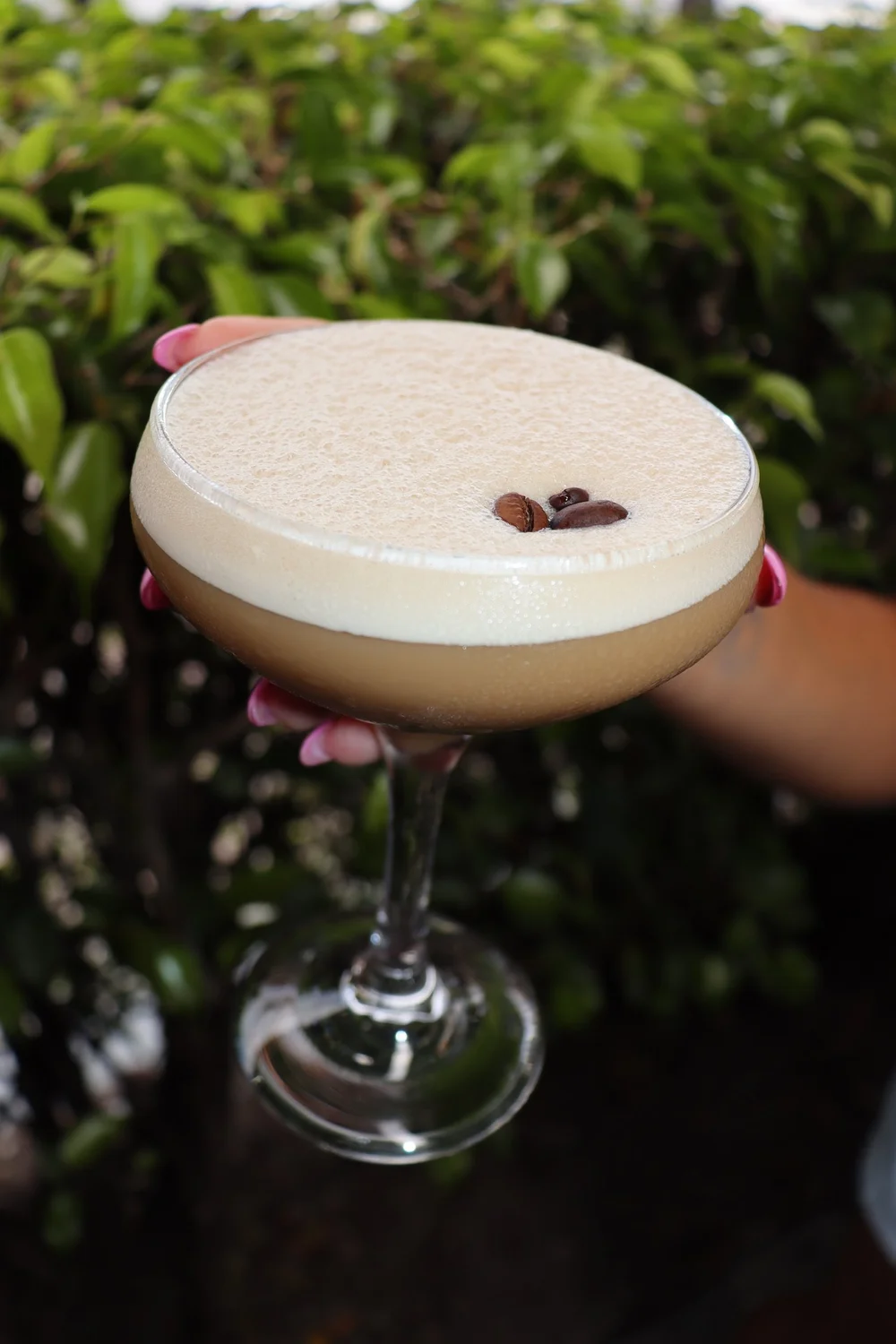 Boca Raton — standarddelray.com