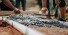 Concrete Pathways & Concrete Footpaths | Scavate