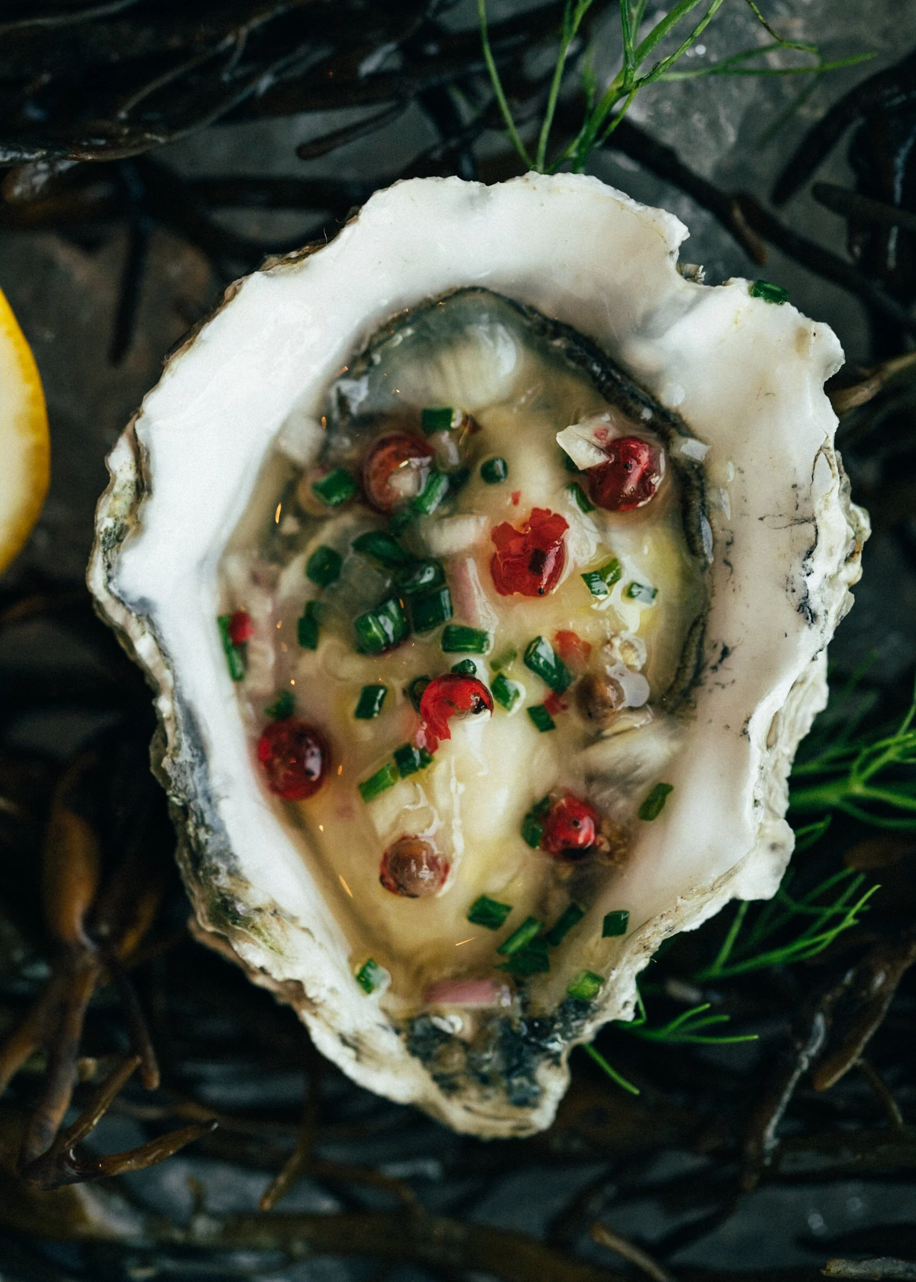 JASON PERRY | Photographer of Food, Faces & Faraway Places