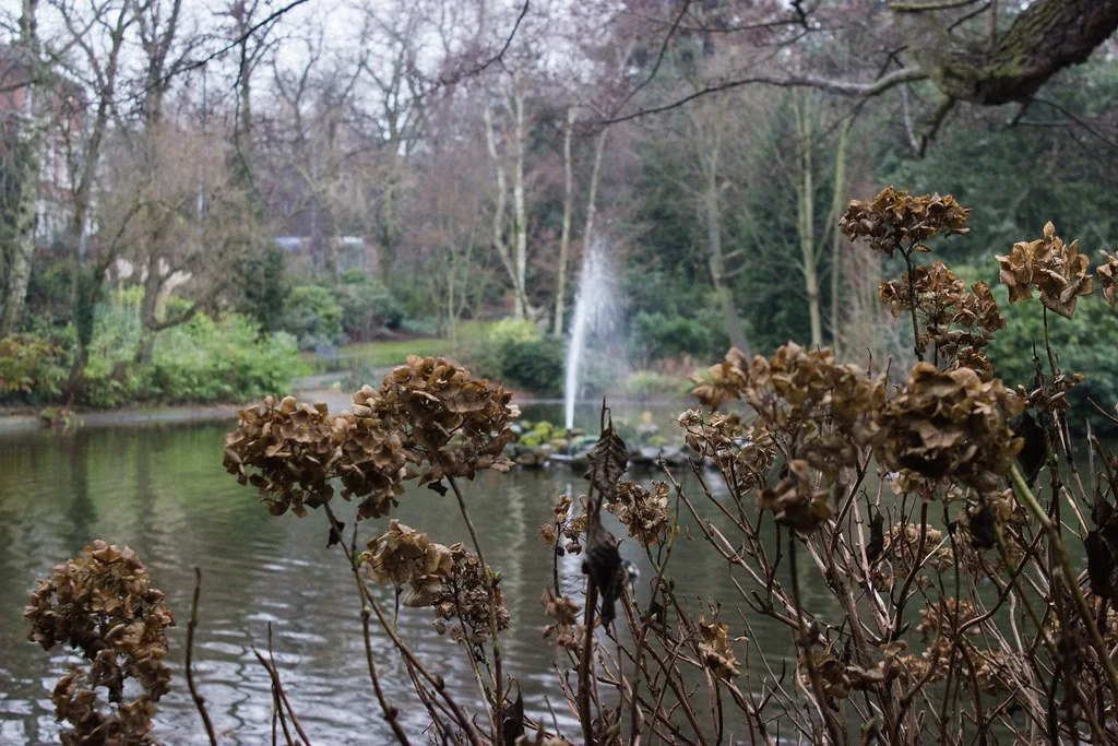 Top Gardens and Scenic Parks to Visit in Nottinghamshire | Best Gardens ...