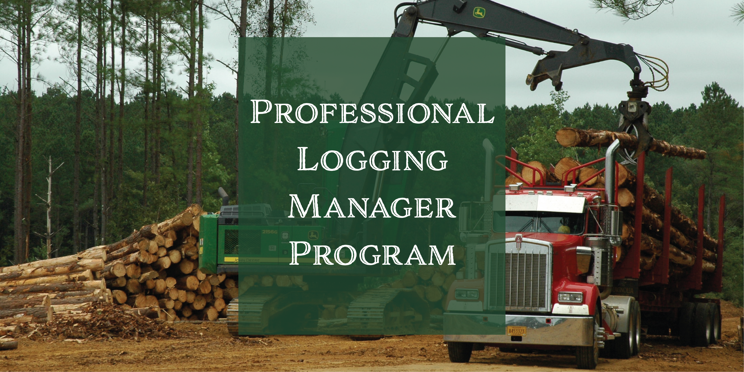 Professional Logging Manager Program