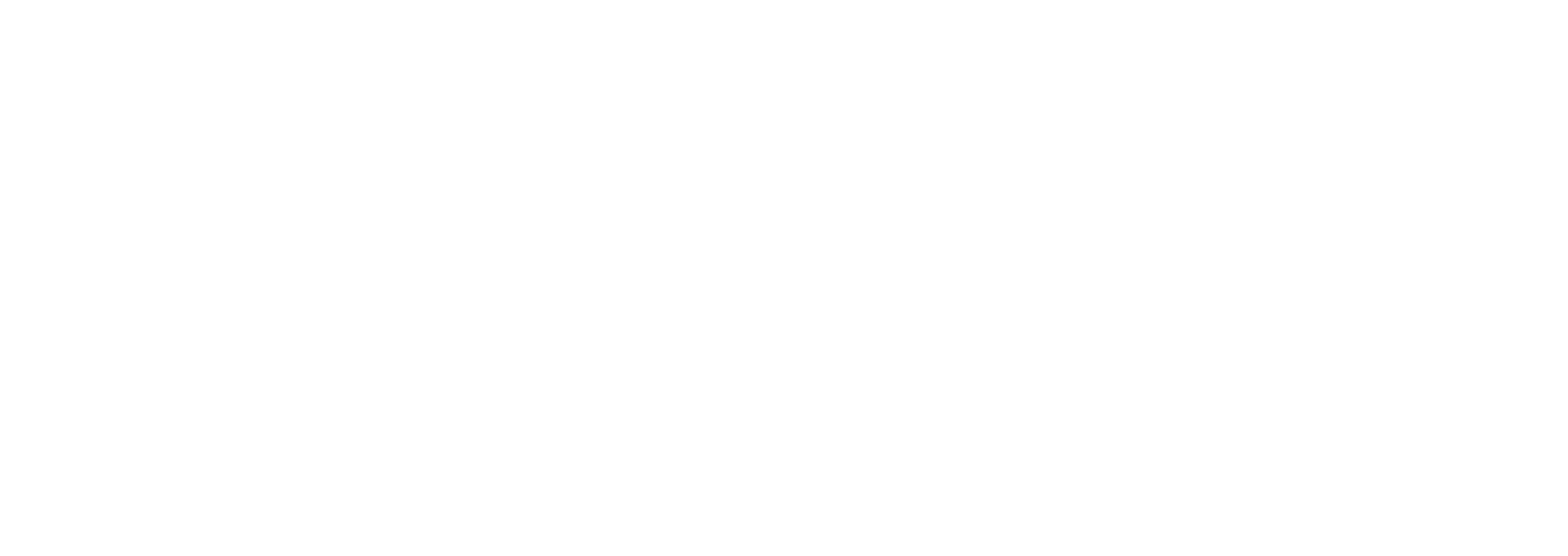 Variant Co. 2025
