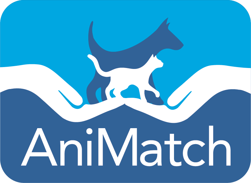 AniMatch — Massachusetts Animal Coalition