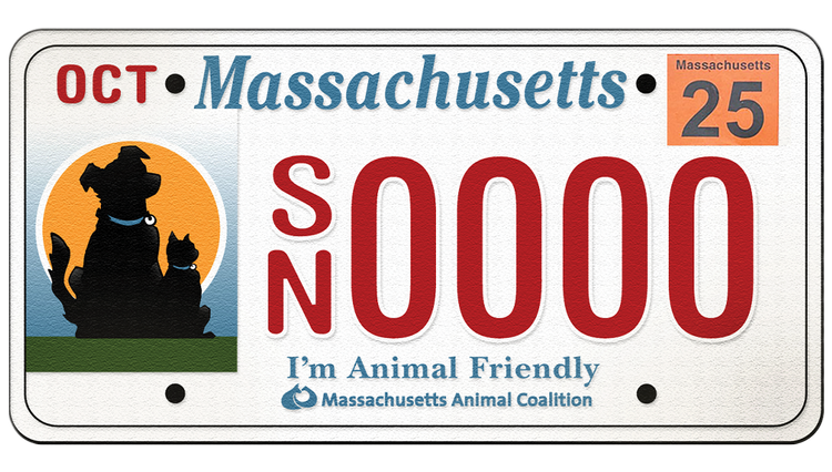 License Plate Program — Massachusetts Animal Coalition
