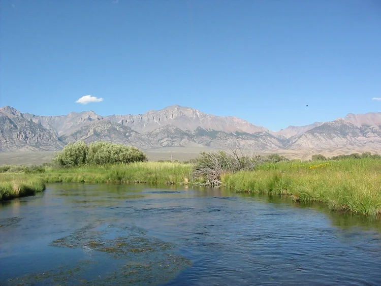 Big Lost River Fly Fishing Trips — Lost River Outfitters