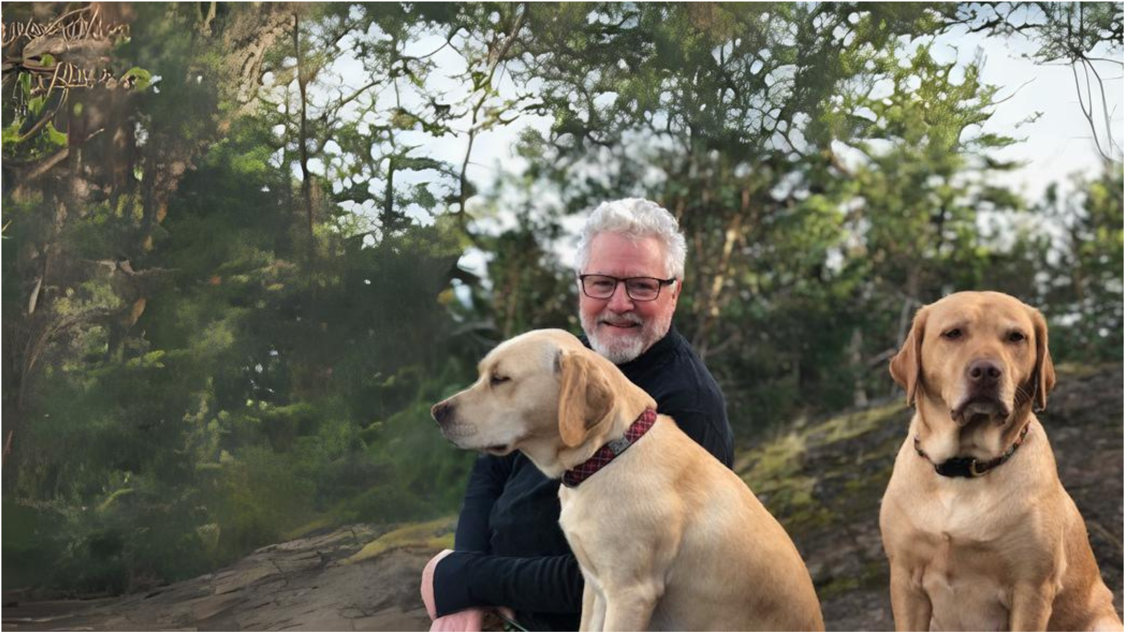 Dr. Allan Wade | Response-Based Practice