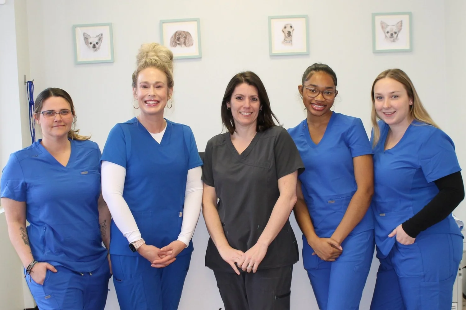 Bayside Veterinary Clinic