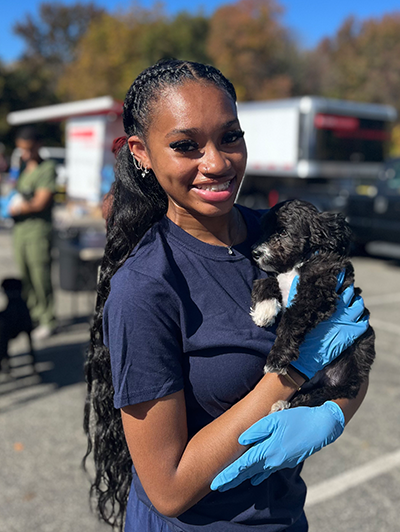 Team — Bayside Veterinary Clinic