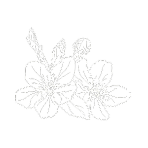 Stonecroft Manor Oakland's Unique Dining Experience