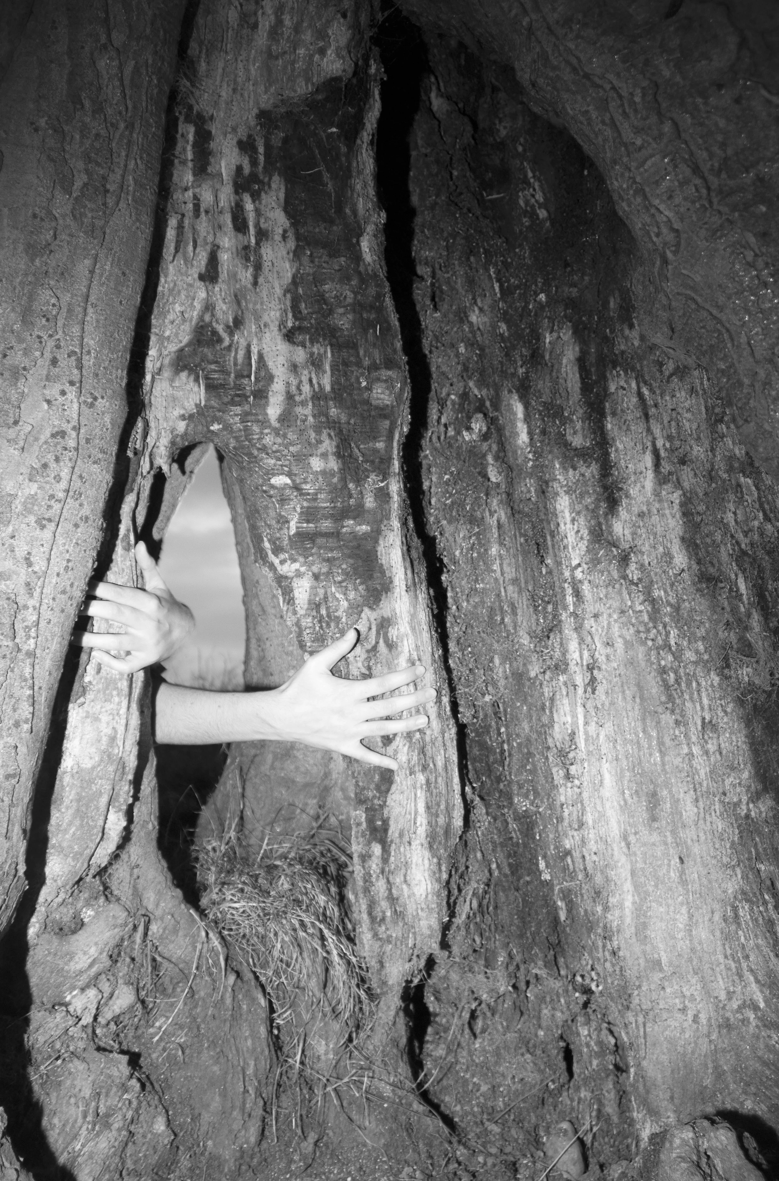 Ffocws 2023 — ffotogallery