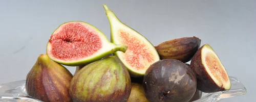 Fig plant and growing information — Incredible Edibles - Australia’s ...