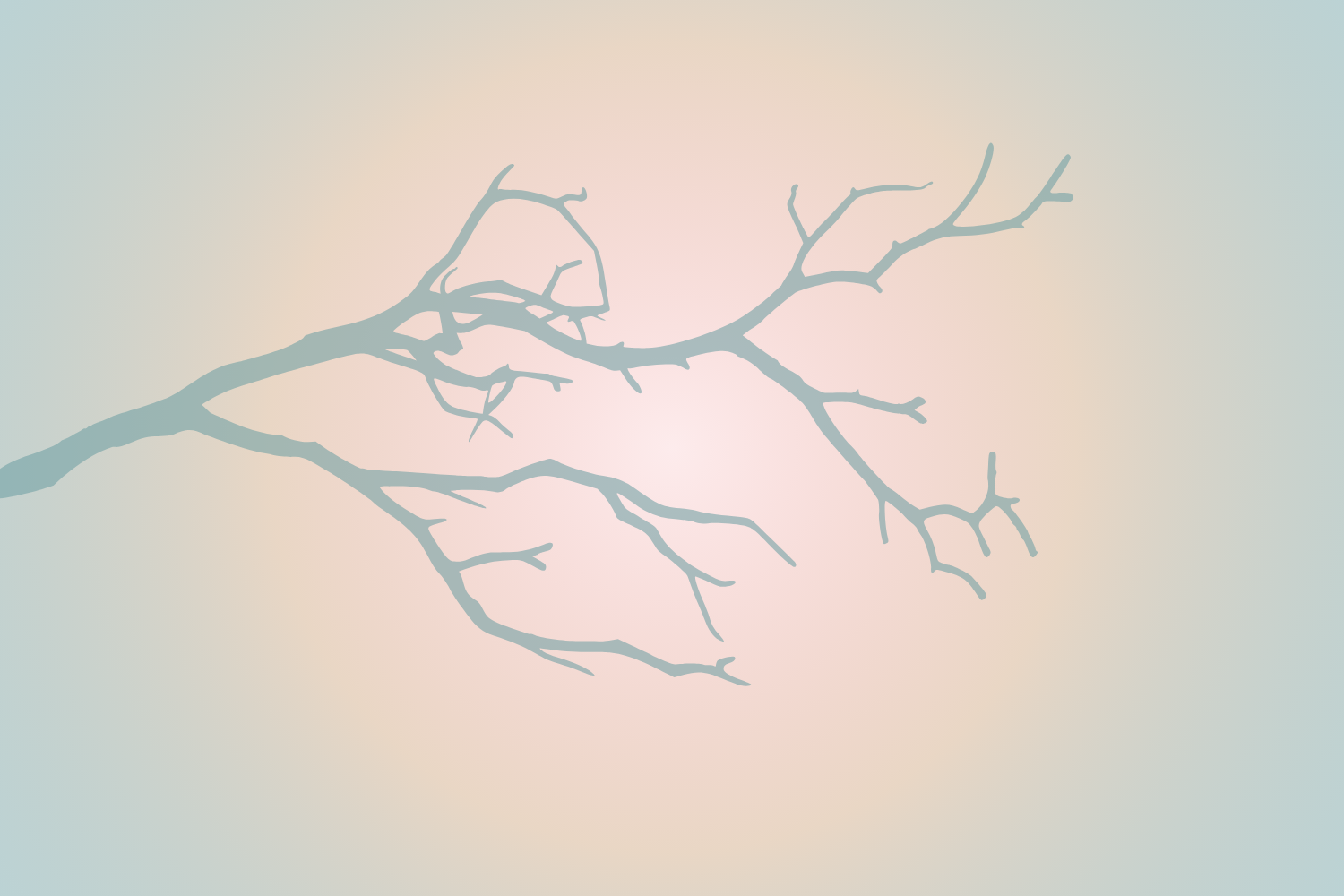 Therapeutic Tapping — THROUGH THE BODY