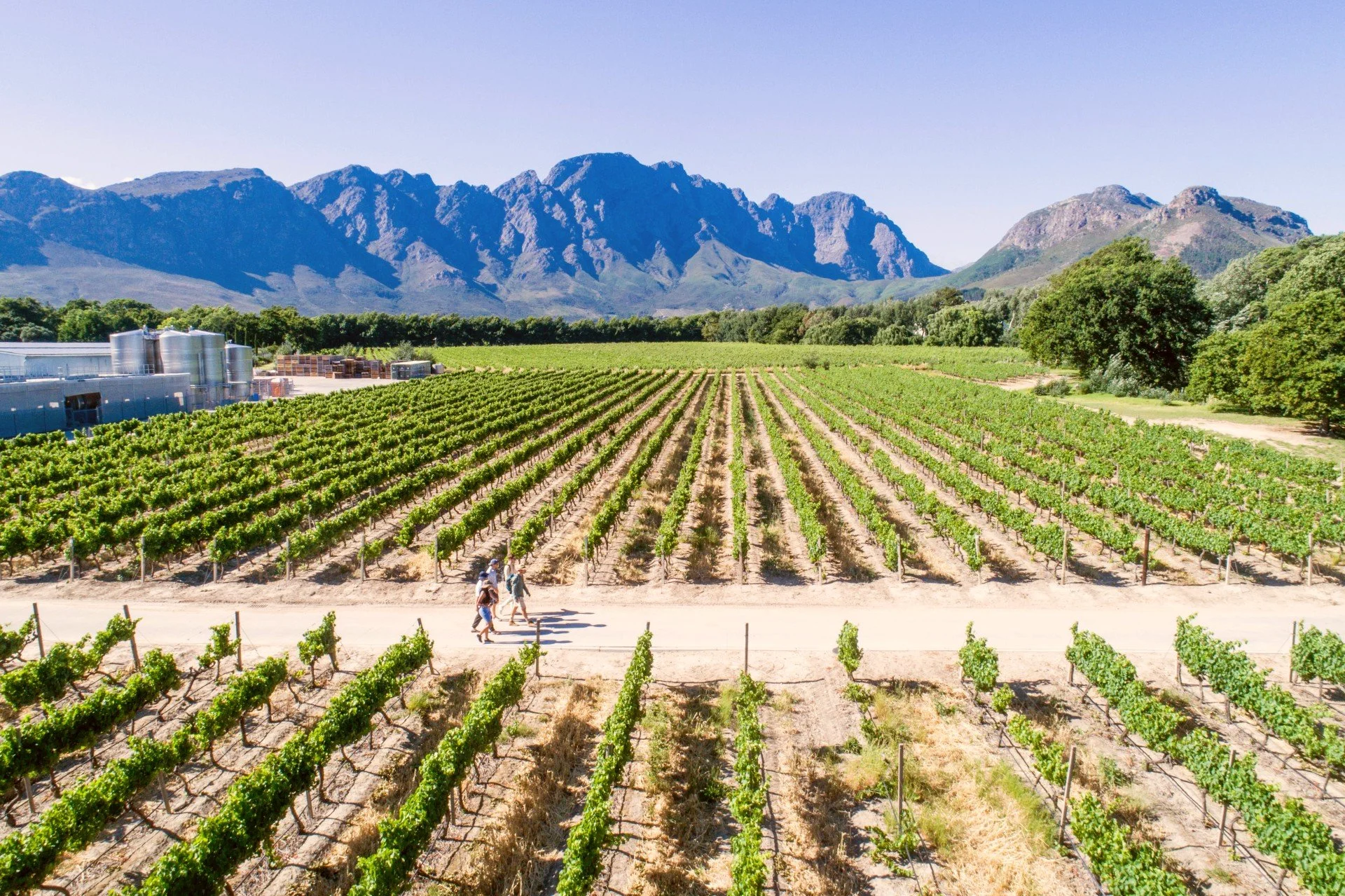 Natural Wanders - Cape Town's Best Walking Tours