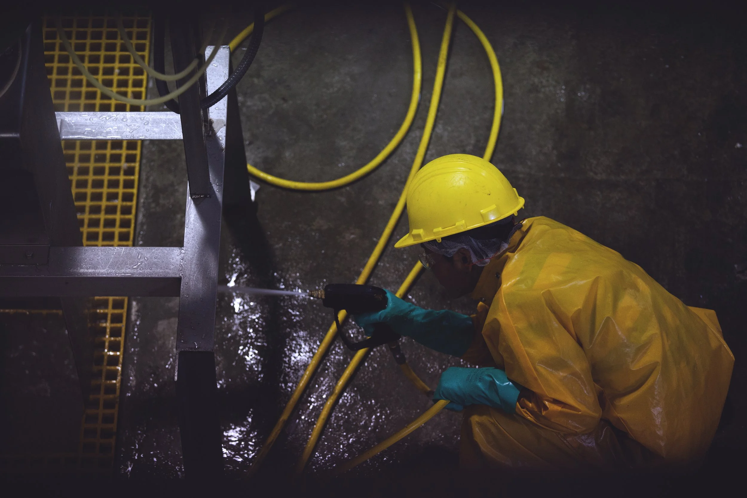 About Us | Ensure Food Safety Today — QSI