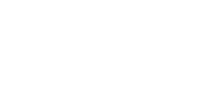 General 1 — QSI