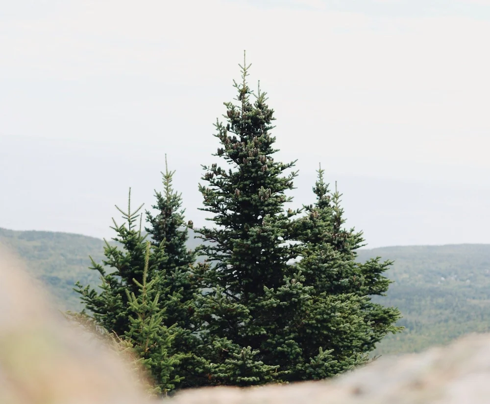 Careers | Grow Your Financial Career Today — Ascent Capital