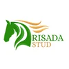 Risada Stud - Mare and Stallion Breeding Services