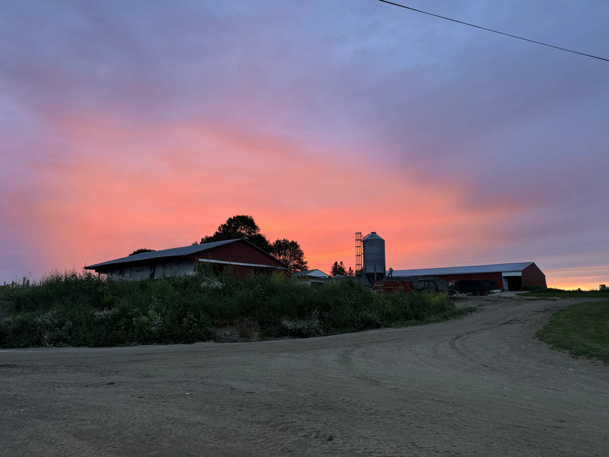 About | Family-Owned & Operated | 3rd Generation — Cooley's Farm