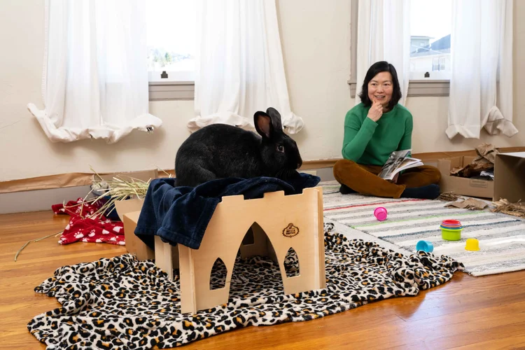 Rabbit Care — House Rabbit Society