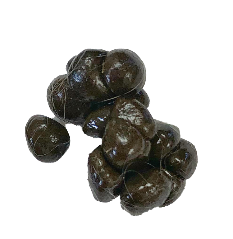 Rabbit Droppings As Health Indicators — House Rabbit Society