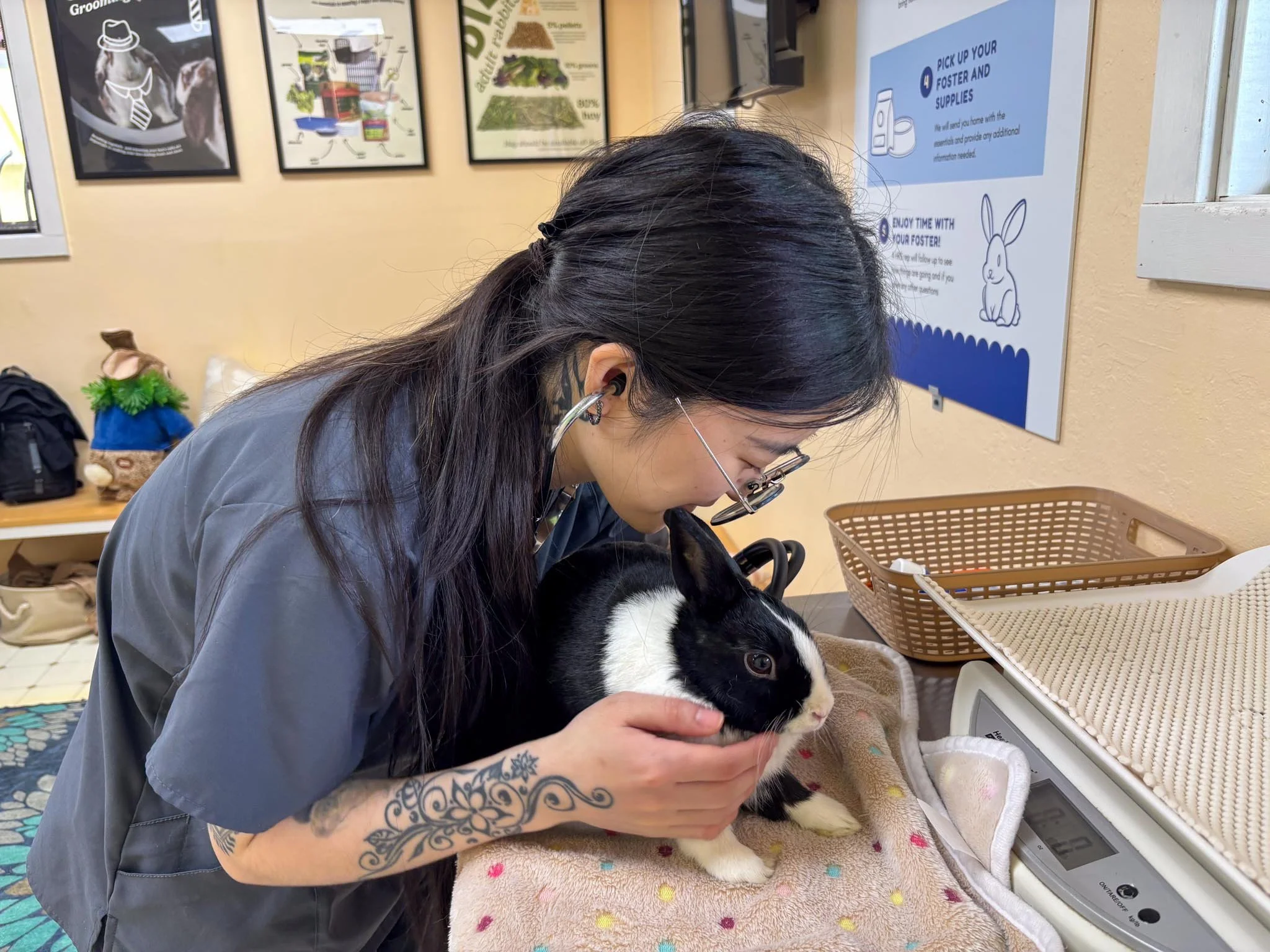 Visit — House Rabbit Society