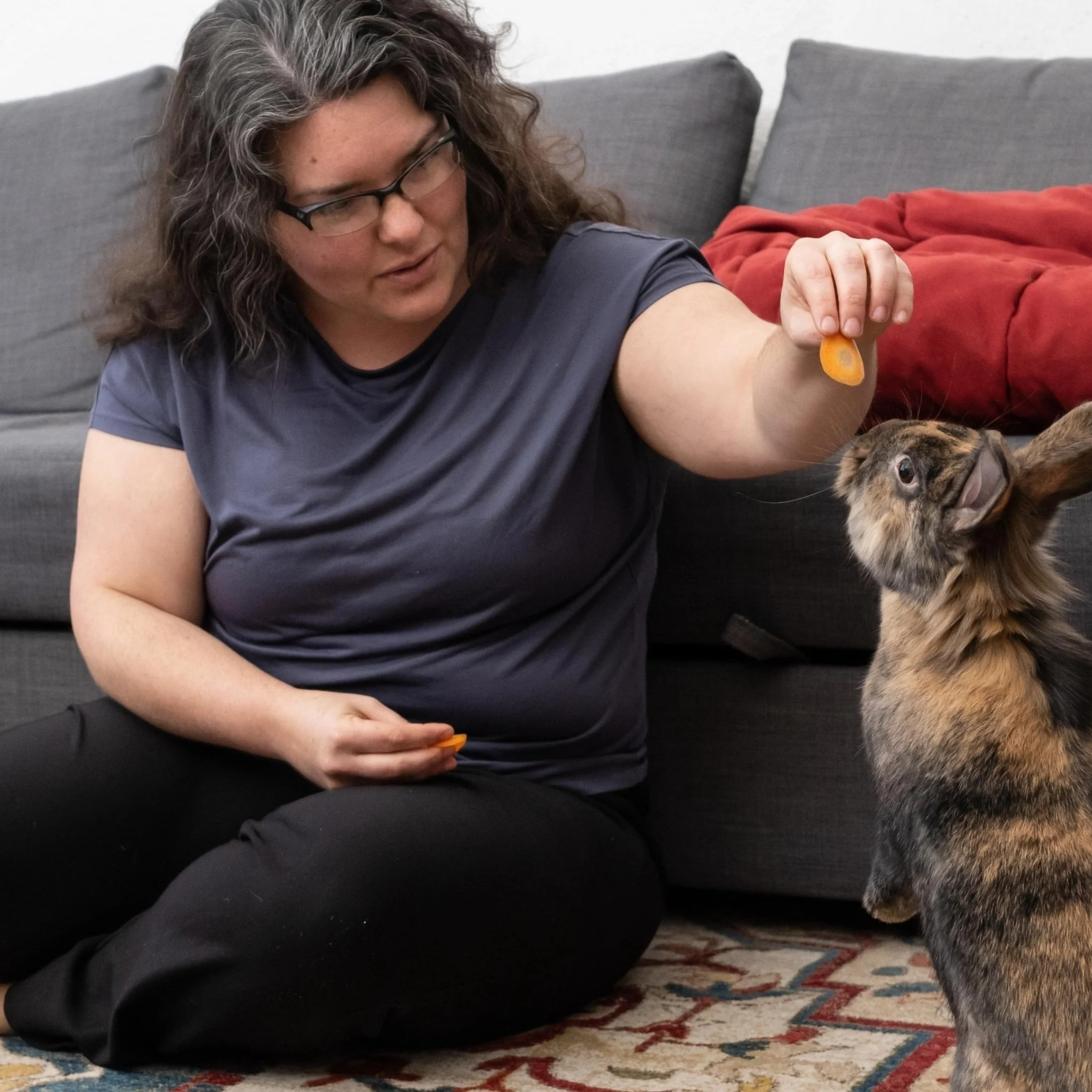 House Rabbit Society