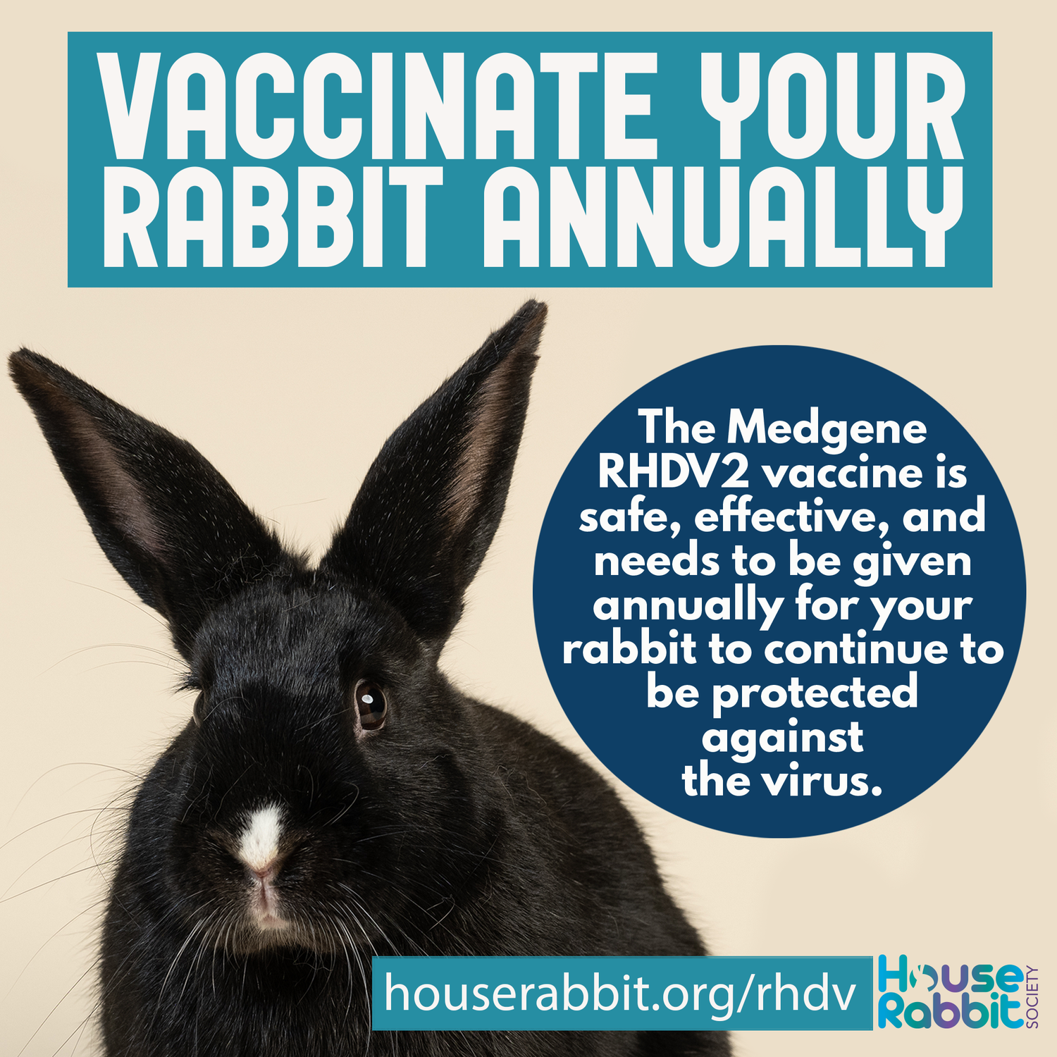 RHDV2 — House Rabbit Society
