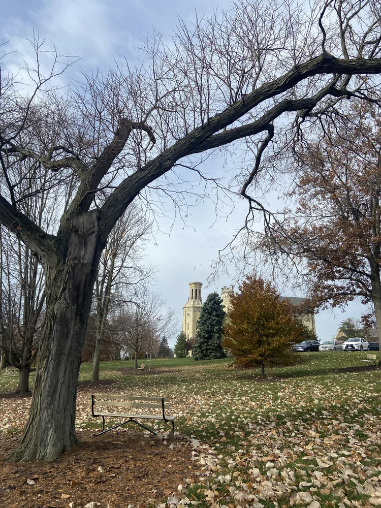 Peter Battle Biles, Author