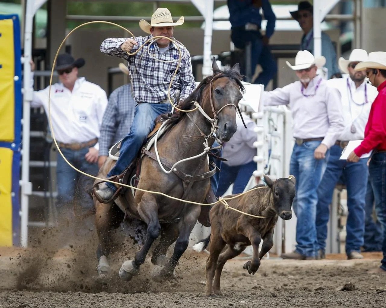 Park City PRCA Rodeo