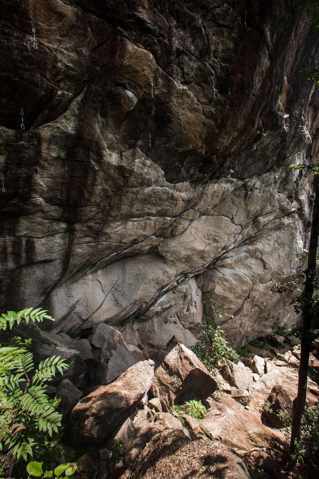 THE SEND BREWING CO.