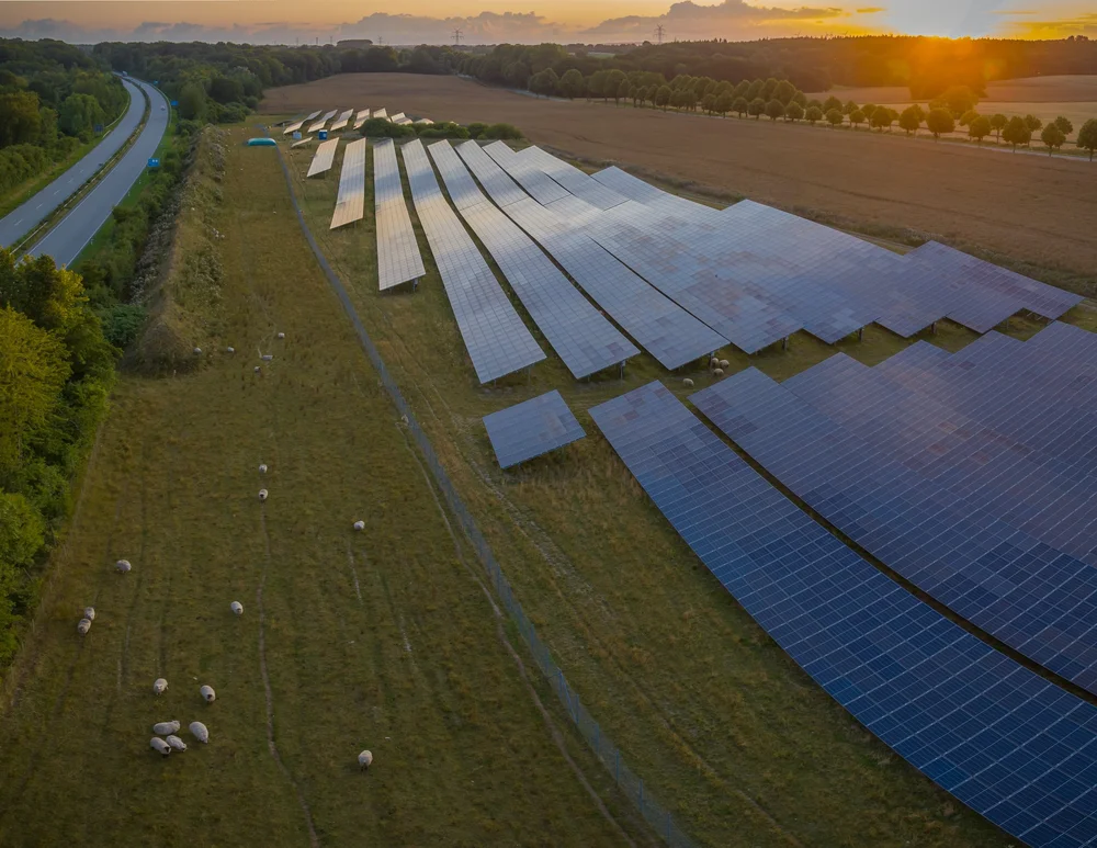The Solar Park — East Pye Solar