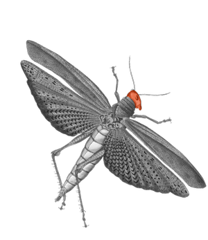 ToK Exhibition — ToK Today