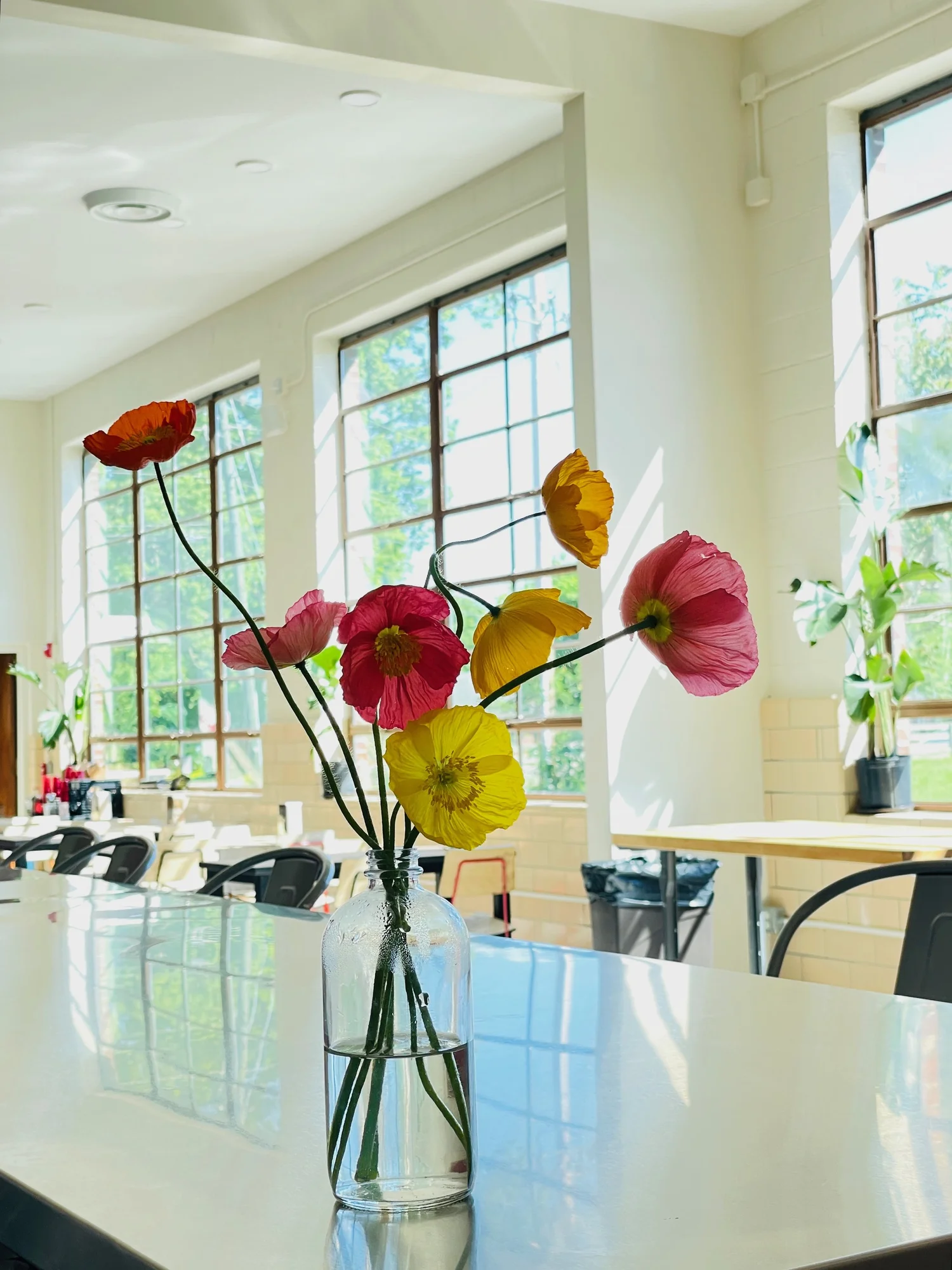 Feather Bone Provisions & Assembly