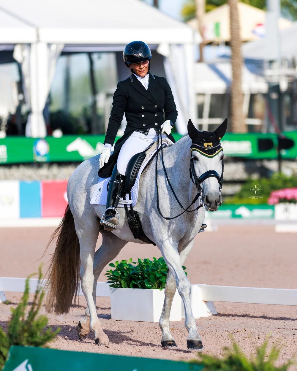 Ana Daniela Siberio | Experience Lusitano Excellence Today — Lusitano ...