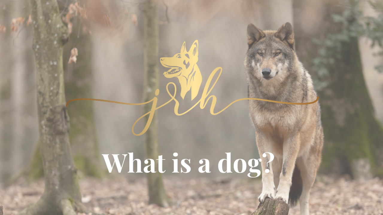 Dashboard — The JRH Academy