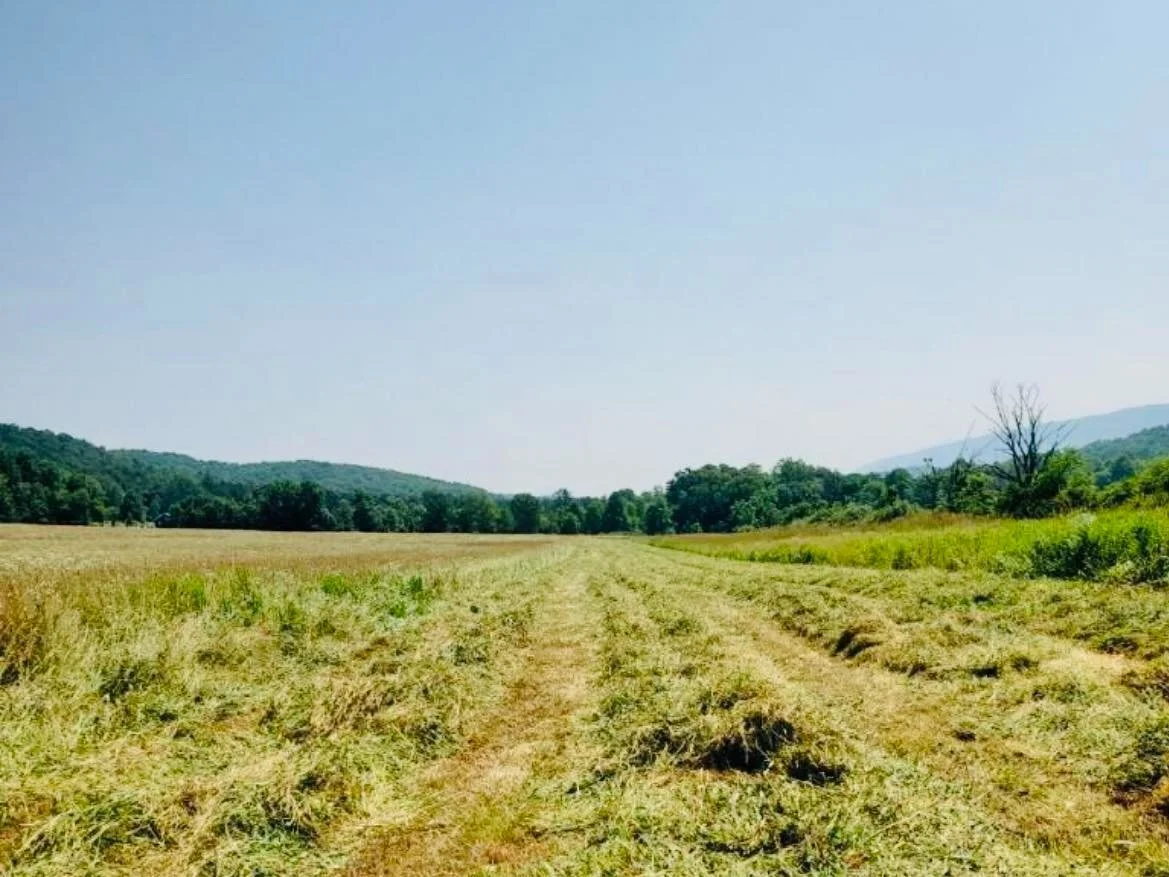 Breezy Acres Meats | Farm-Raised Pork | High-Quality Beef | Sustainably ...