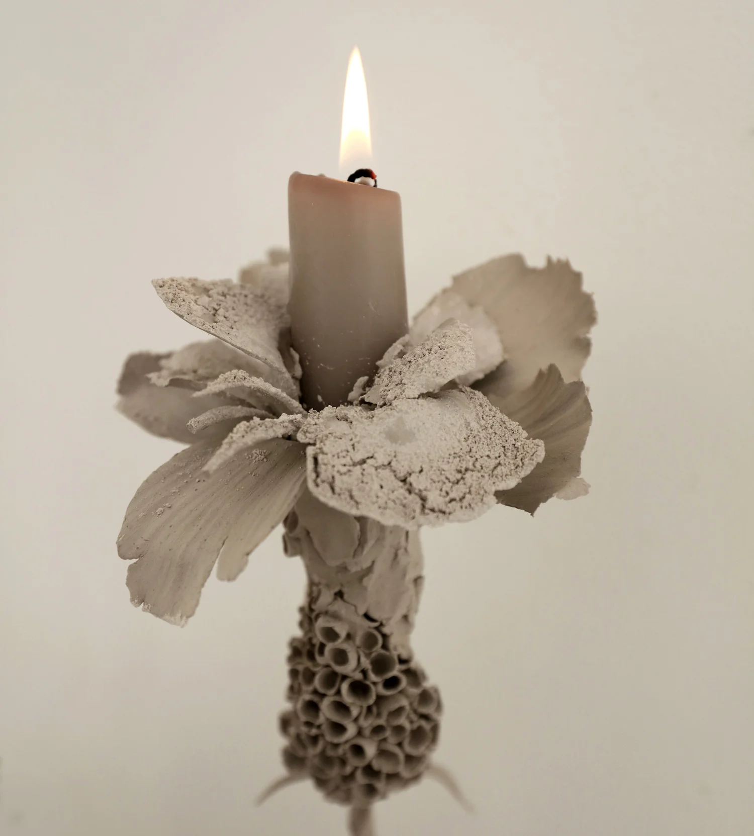 Phoebe Cummings - Open Source Curriculum — A-B Projects