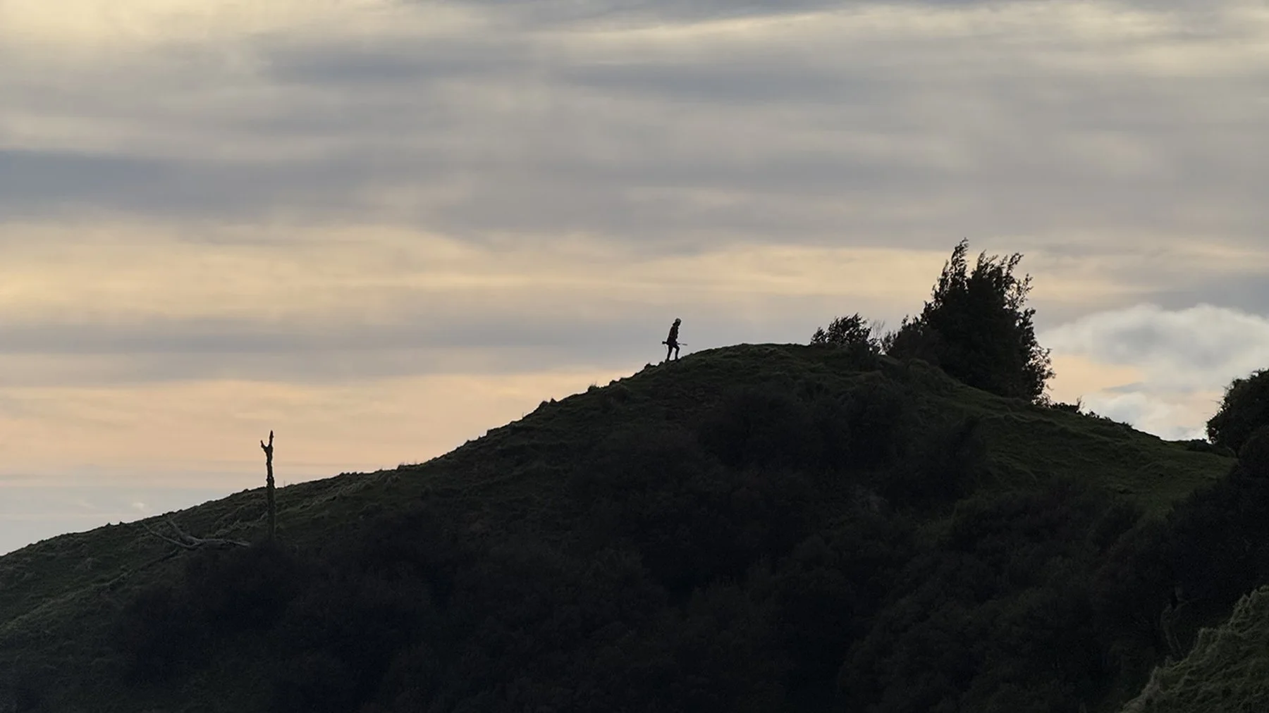 Hunt for Good | Sustainable Venison for Food Banks | Feeding Communities