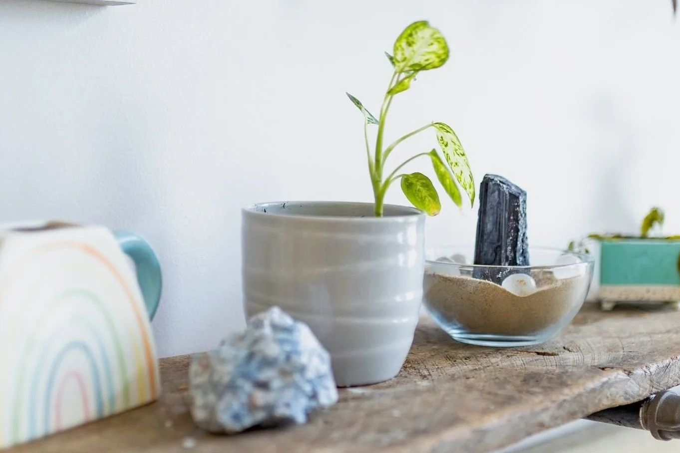 The Wellness Collective