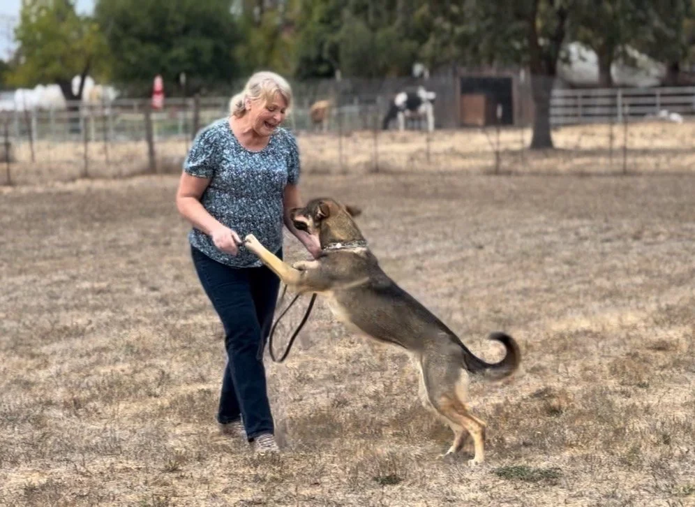 Incredible Canine Training Center