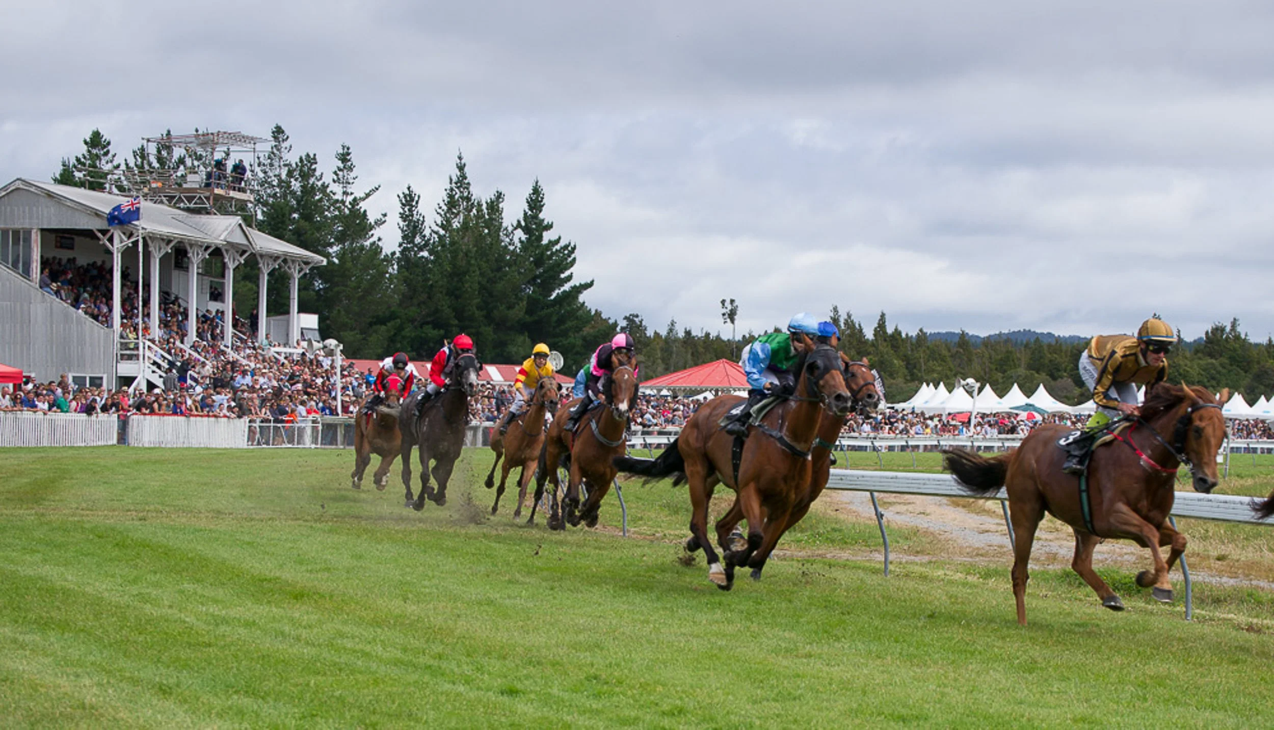 Kumara Races — Lake Brunner Eco Lodge