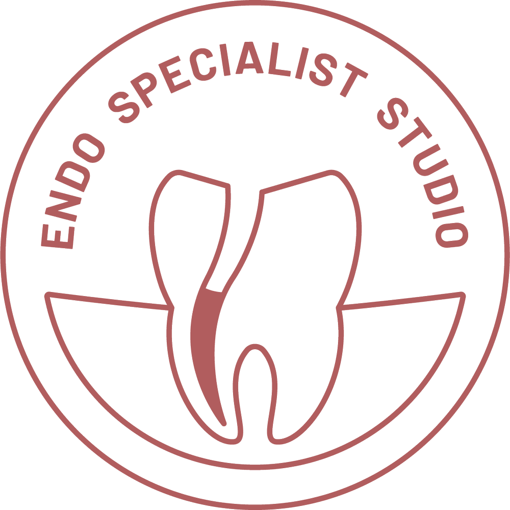 Meet us — Endo Specialist Studio
