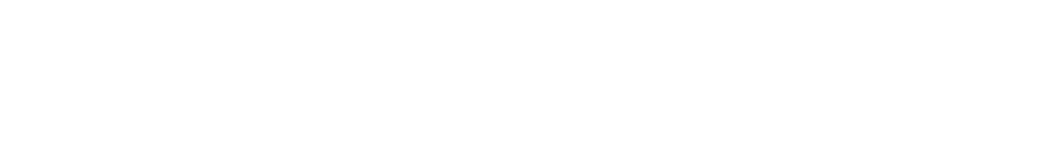 SUNAGO Group – Global Consulting Network for Solutions