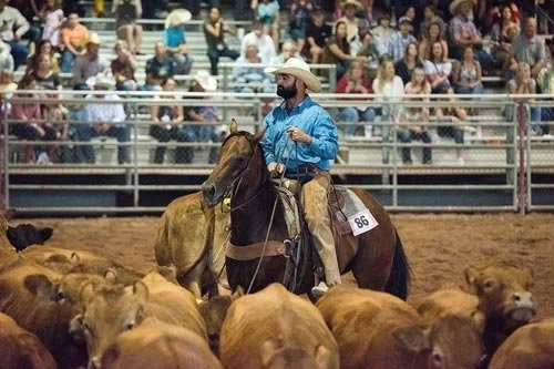 What is Ranch Rodeo — Big Bend Ranch Rodeo