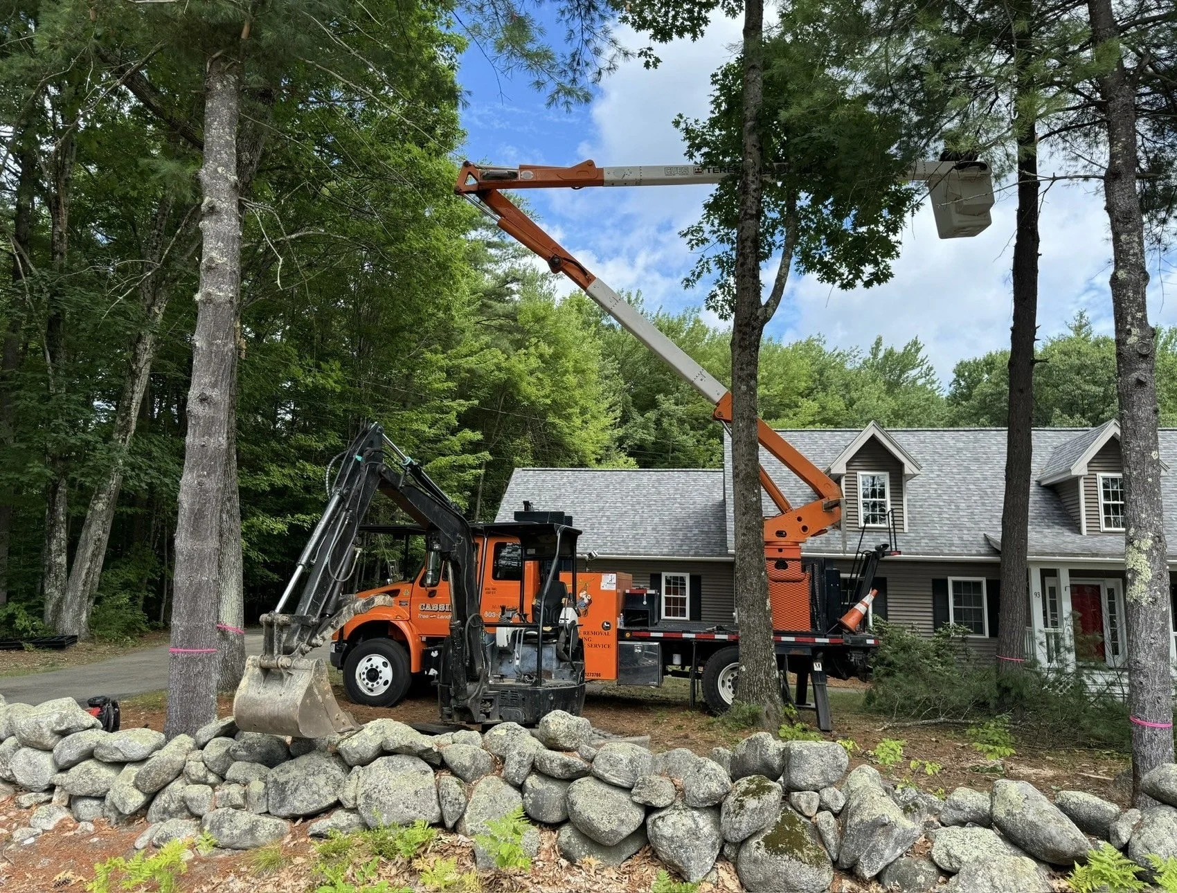 Cassidy Tree & Landscape LLC