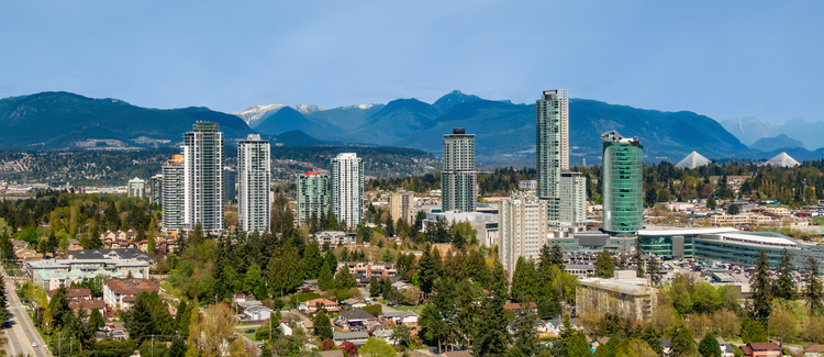 Comprehensive Real Estate Management Services | Paragon Realty ...